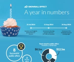 A year in numbers - infographic – Snowball Effect