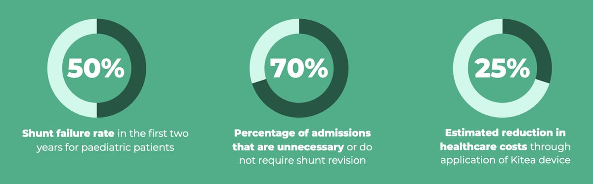 Kitea Health investment offer preview – Snowball Effect
