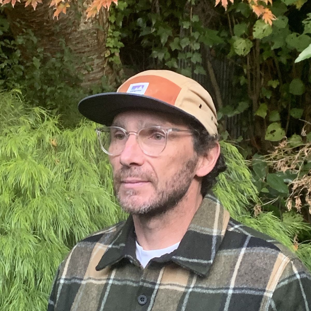 Blackcurrent investment offer preview – Snowball Effect