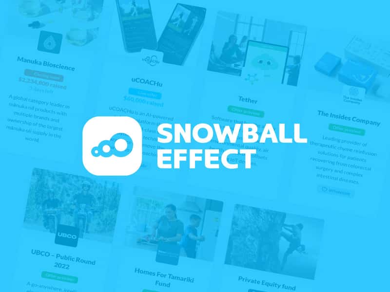 Invest in Snowball Effect – Snowball Effect